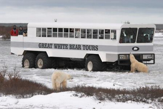 THE WORLD GEOGRAPHY: 8 Unusual Modes of Transportation Around the Globe