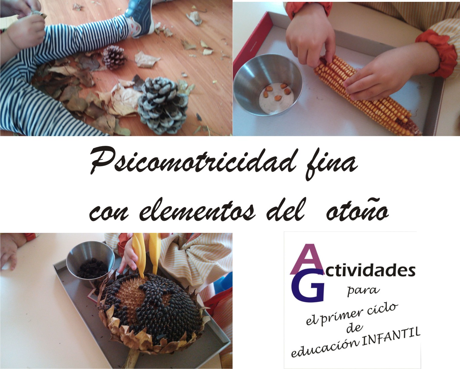 Actividades de motricidad fina en otoño