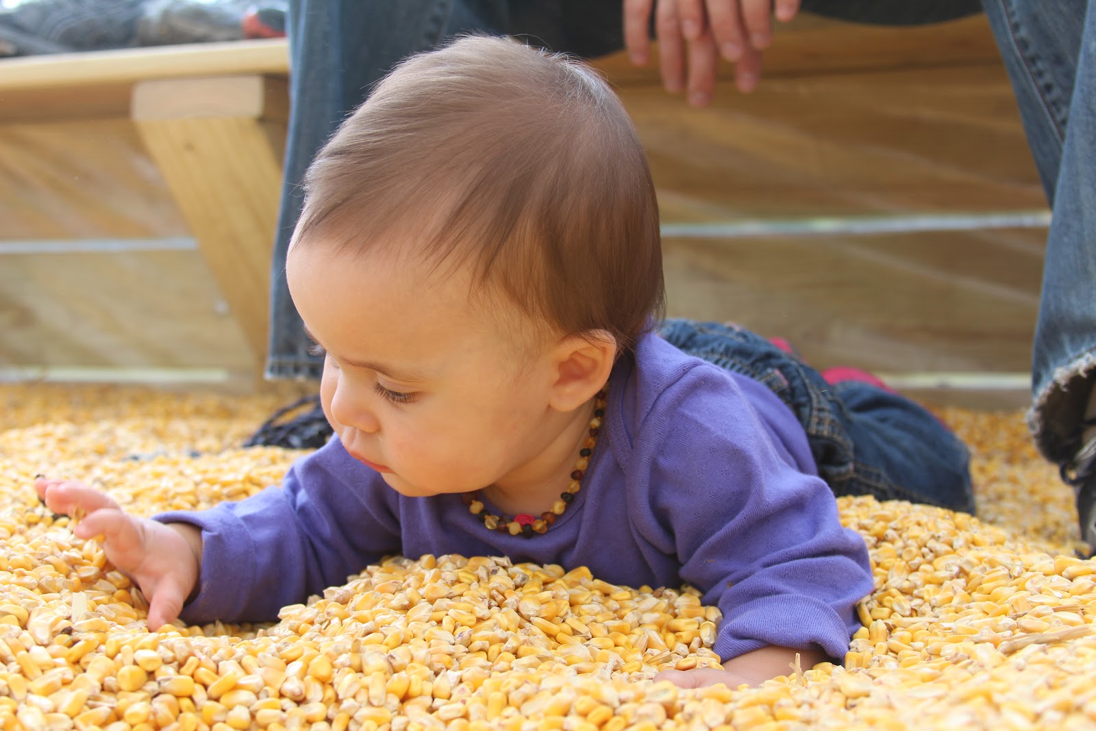 Zayit and Ziva: Farm Sensory Play
