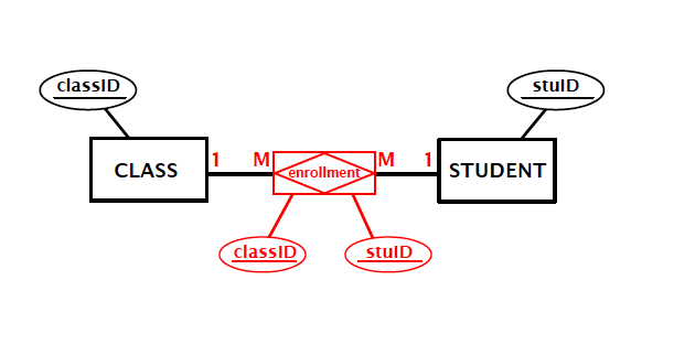 Database: Composite Entities Database: Composite Entities