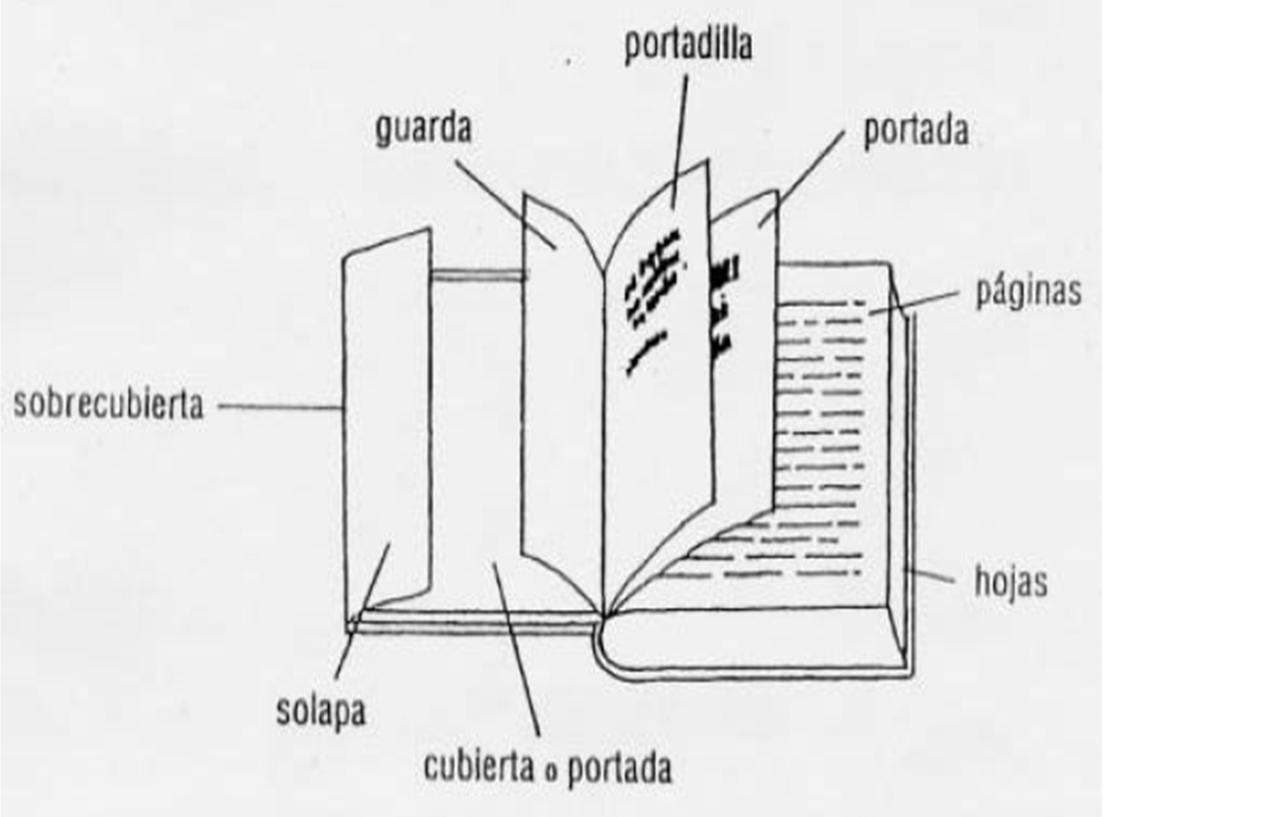 LAS PARTES DE UN LIBRO