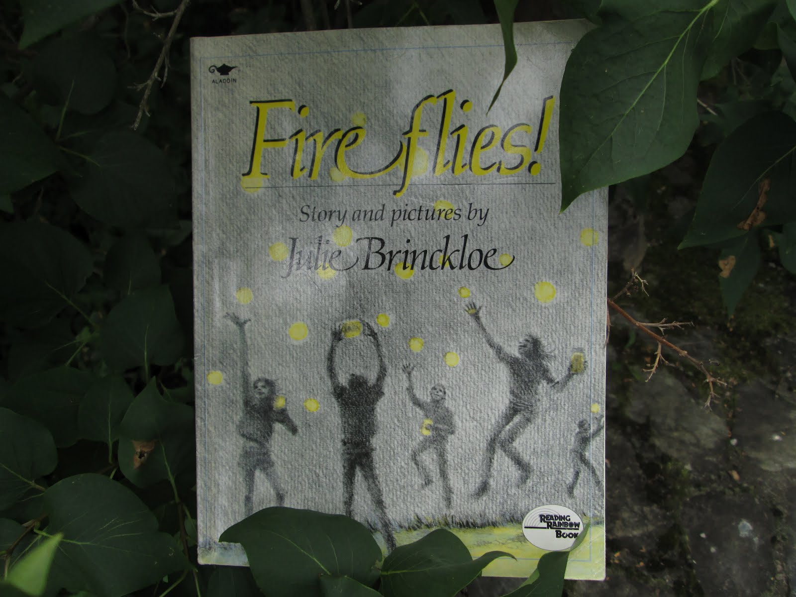 Letters from a Hill Farm: Fireflies! by Julie Brinckloe