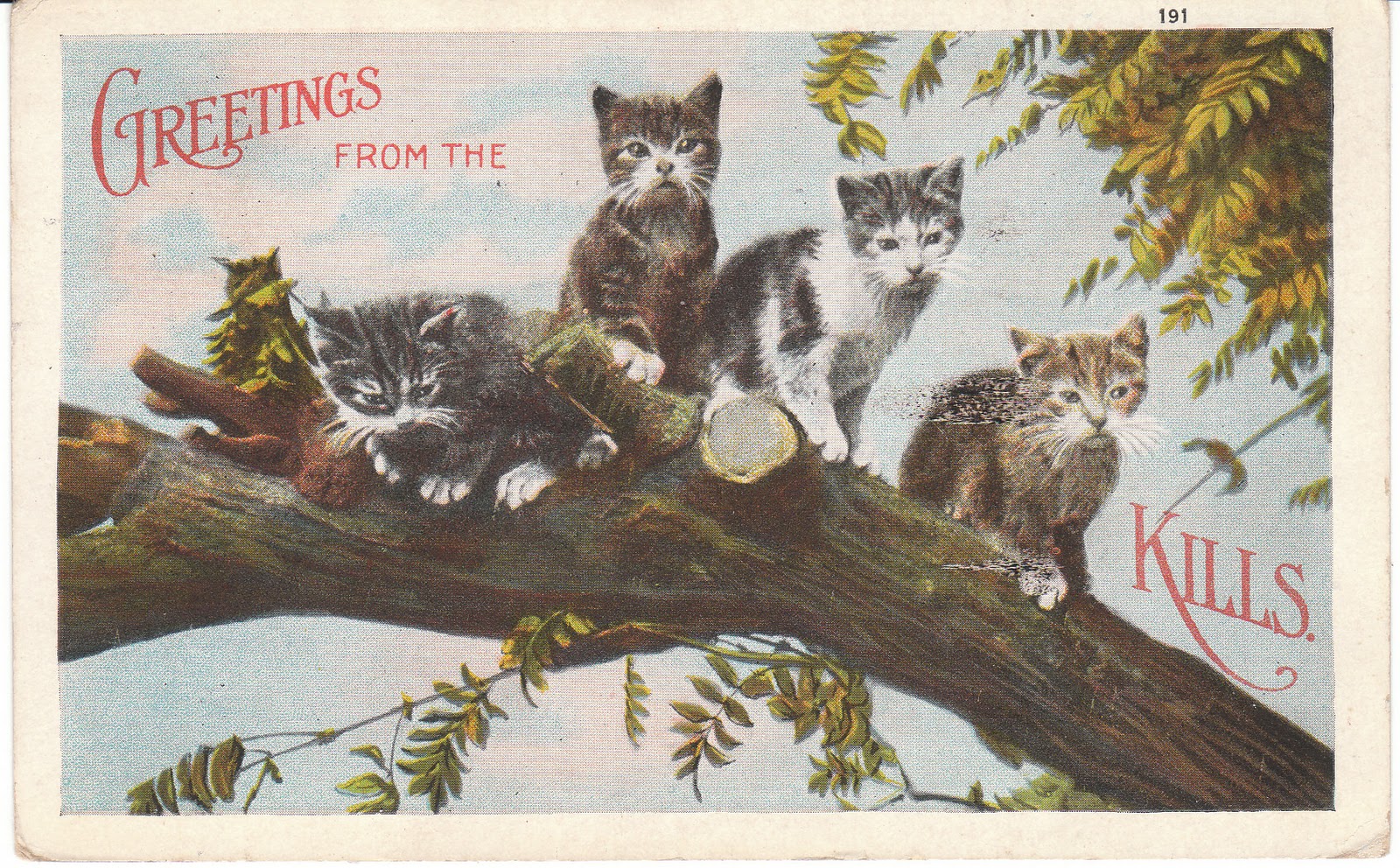 View from the Birdhouse: Vintage Cat Postcards are the Cat's Meow