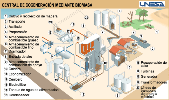 BIOMASA Y RESIDUOS SOLIDOS URBANOS: PROCESOS DE CONVERSION DE LA BIOMASA EN ENERGIA