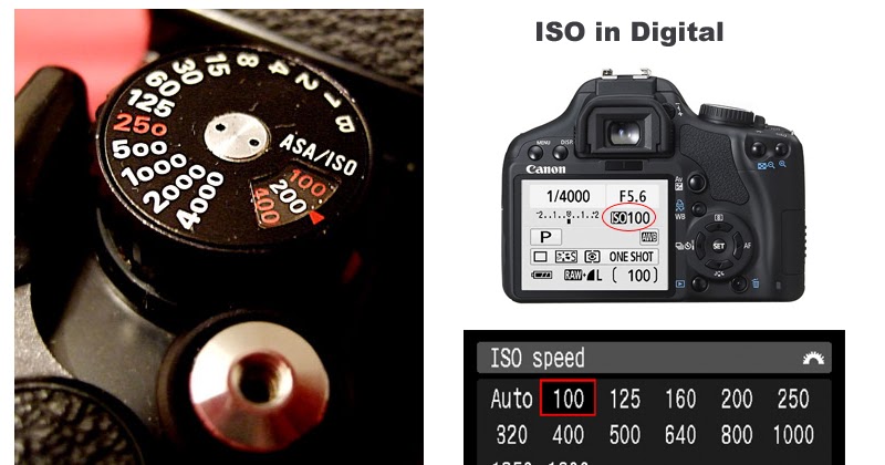 School Of Digital Photography: What is ISO in Photography?