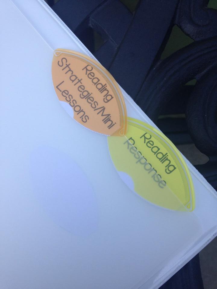 Reading Binder - For the Love of Teaching