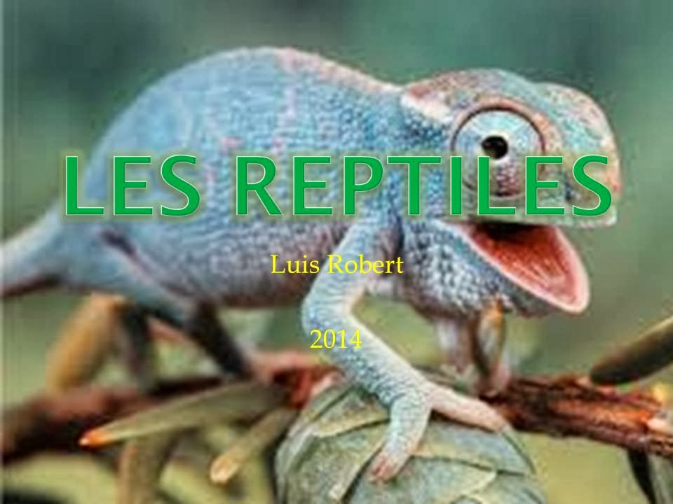Classe de CM2. École Saint Louis des Français.: Exposé. Les reptiles.