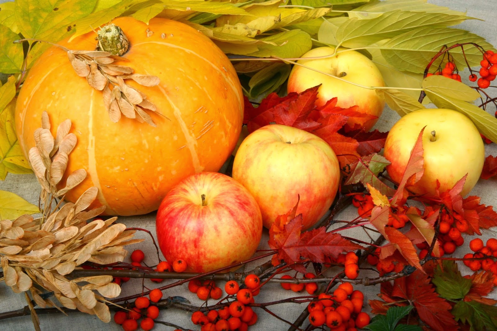 The Elizavegan Page: Pumpkin, Apple, and Walnut Muffins
