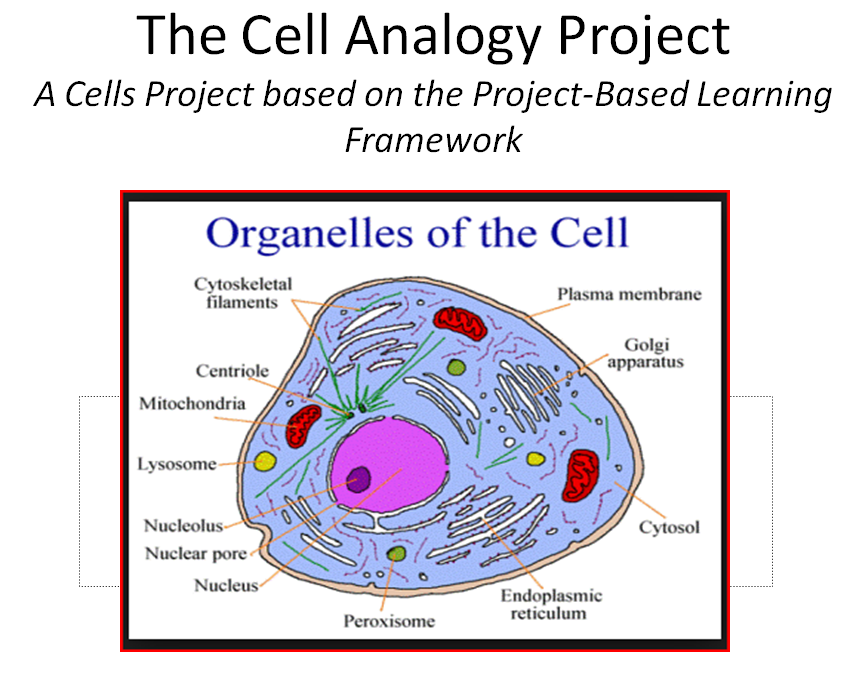 PBL Paradise: Cell Analogy PBL