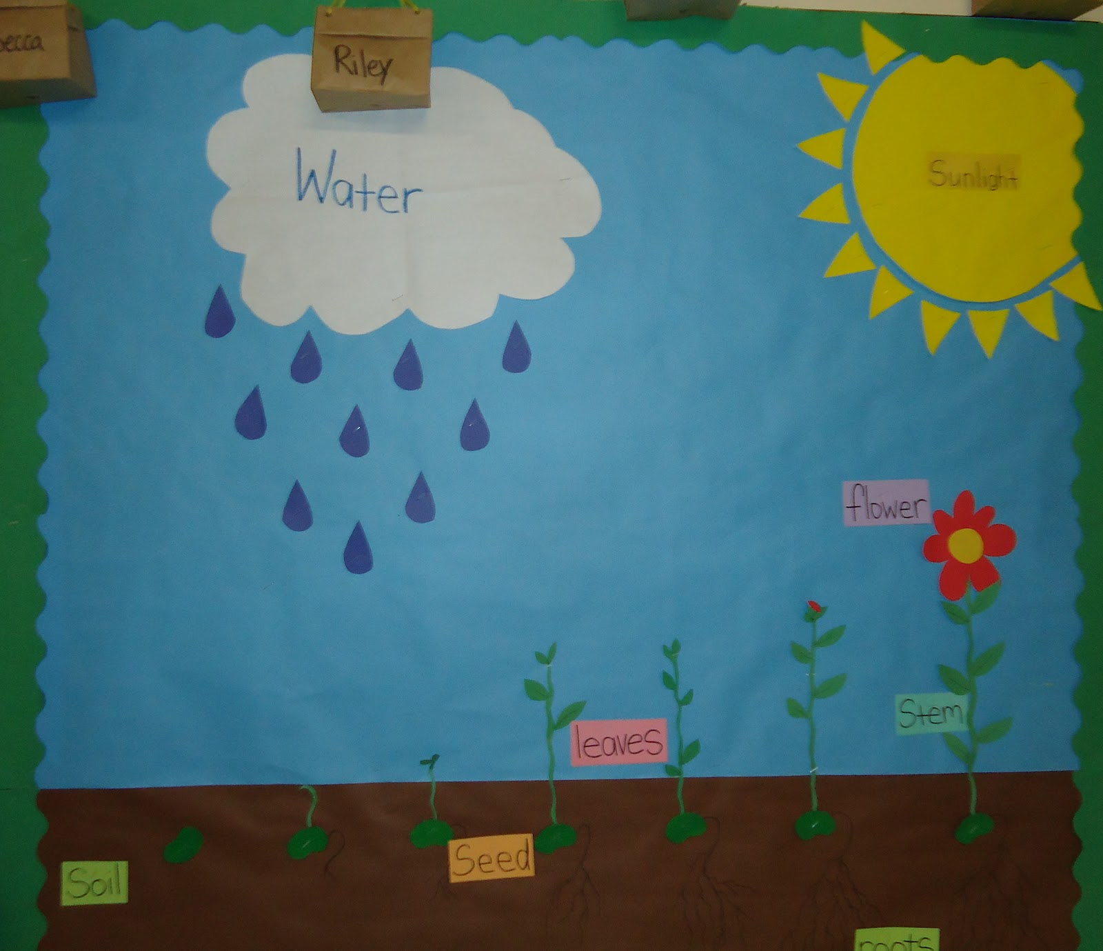 Little Illuminations Spring Bulletin Boards little-illuminations-spring-bulletin-boards