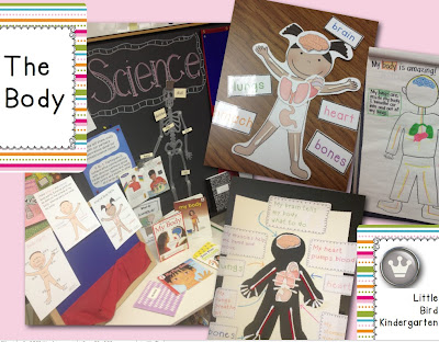 The Amazing Body! - Little Bird Kindergarten