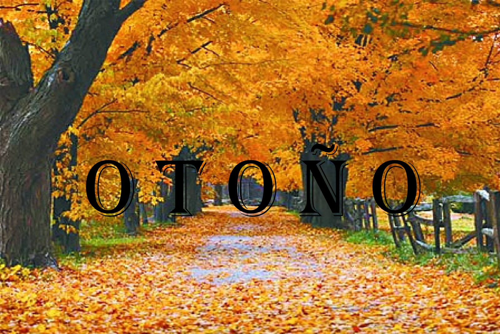 APRENDEMOS CON TODOS Y DE TODOS : ALGUNAS COSITAS DEL OTOÑO