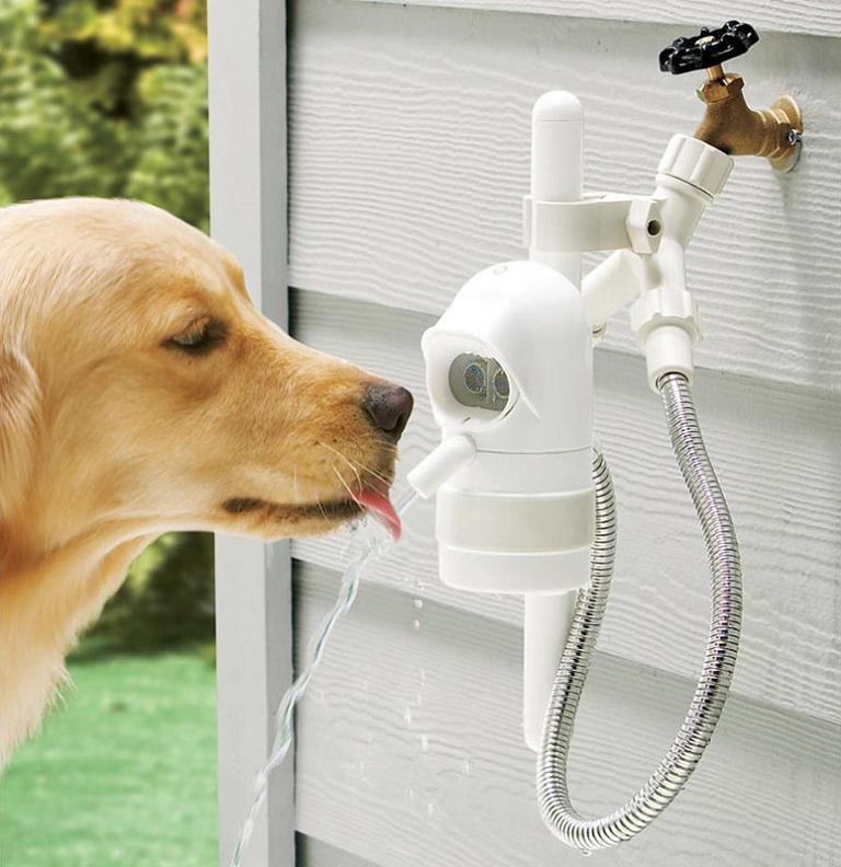 20 Gift Ideas For Dog Owners 20-gift-ideas-for-dog-owners