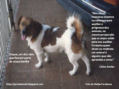 Neide Furukawa - Blog Crescendo e Vivendo : Chico Xavier e os animais