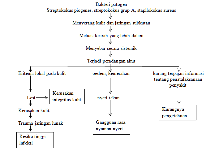 Patimah Rusli: Askep Selulitis (share)