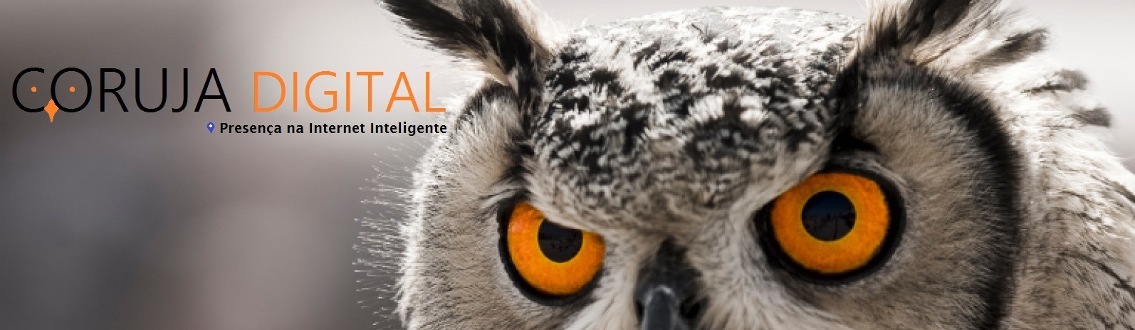 CORUJA Digital - Consultoria em Marketing Digital