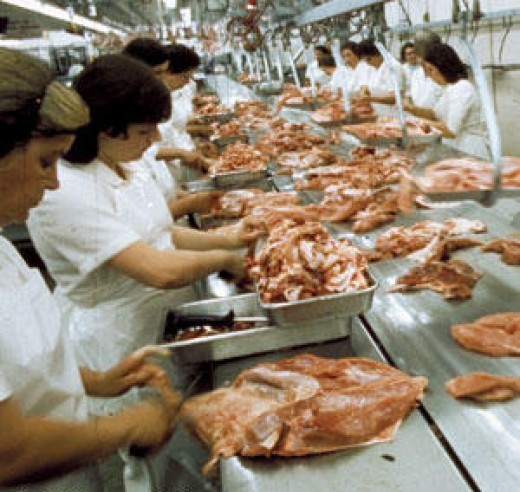 UVA PRESS Estados Unidos La Contaminaci n De La Carne Es Un Grave uva-press-estados-unidos-la-contaminaci-n-de-la-carne-es-un-grave