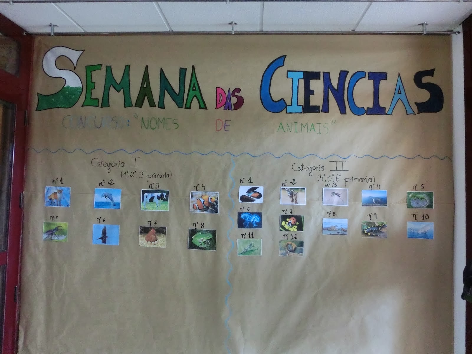 IX SEMANA DE LAS CIENCIAS 2013-14 * SECUNDARIA