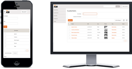 Responsive Web Design con K2B Tools