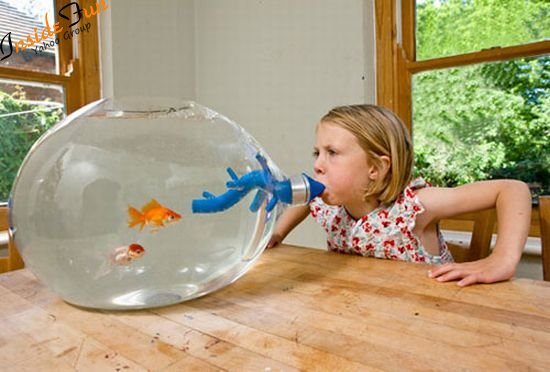 Insitute Fun Most Unusual And Creative Fish Tanks Nice Pics insitute-fun-most-unusual-and-creative-fish-tanks-nice-pics