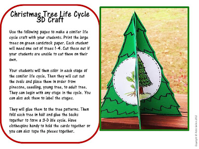 Sweet Tea Classroom: Life Cycle of a Christmas Tree: 3-D Life Cycle of ...