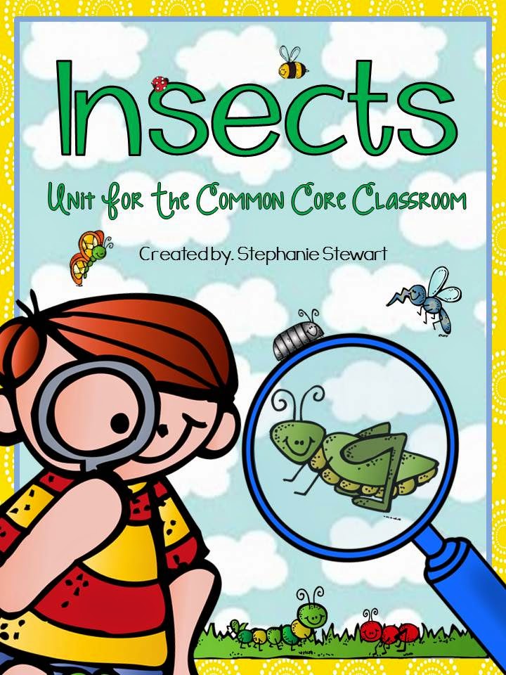 Insect Investigations | Falling into First