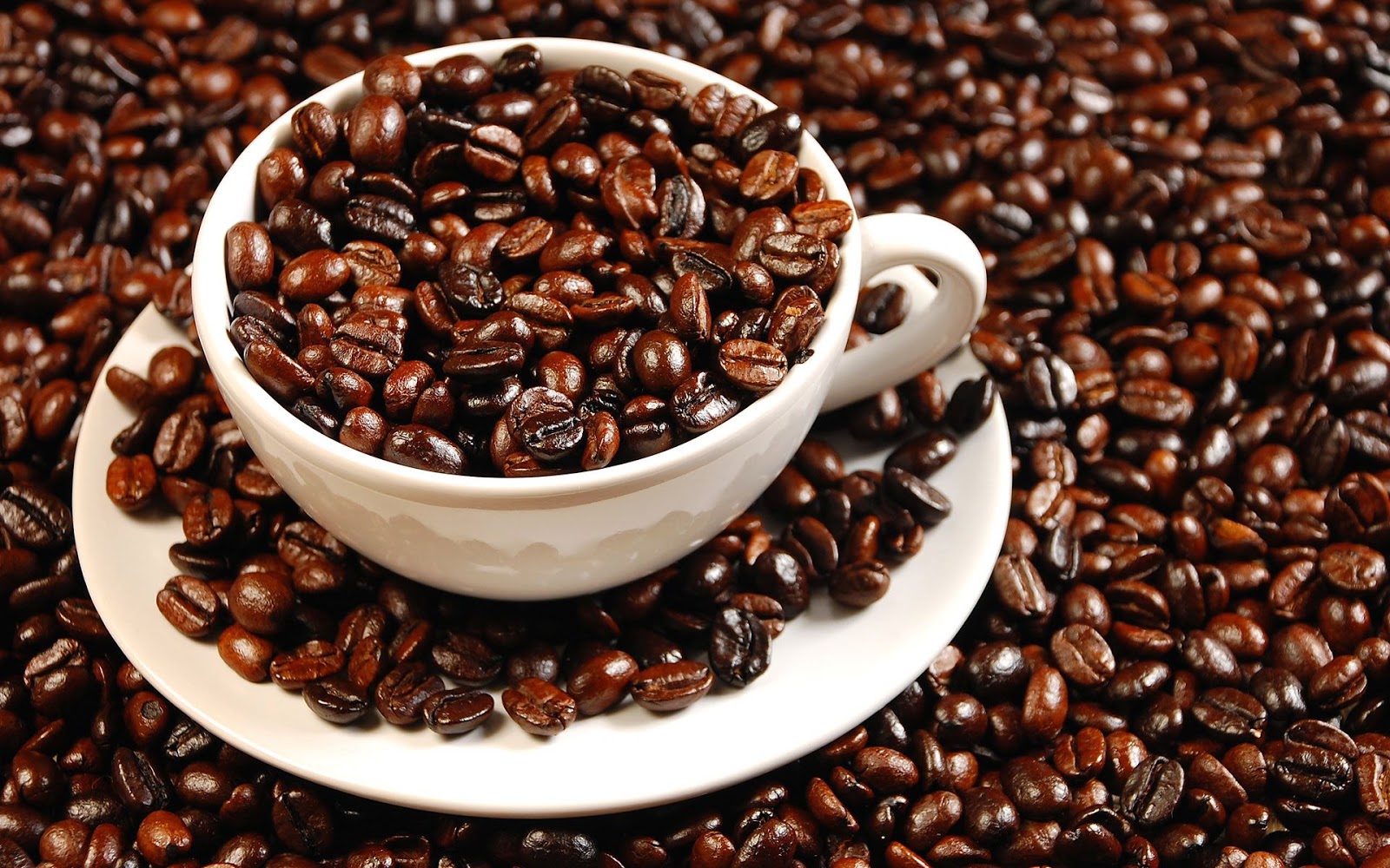 Kopi baik untuk kesihatan dan kecantikan ~ seribupilihan Kopi baik untuk kesihatan dan kecantikan ~ seribupilihan