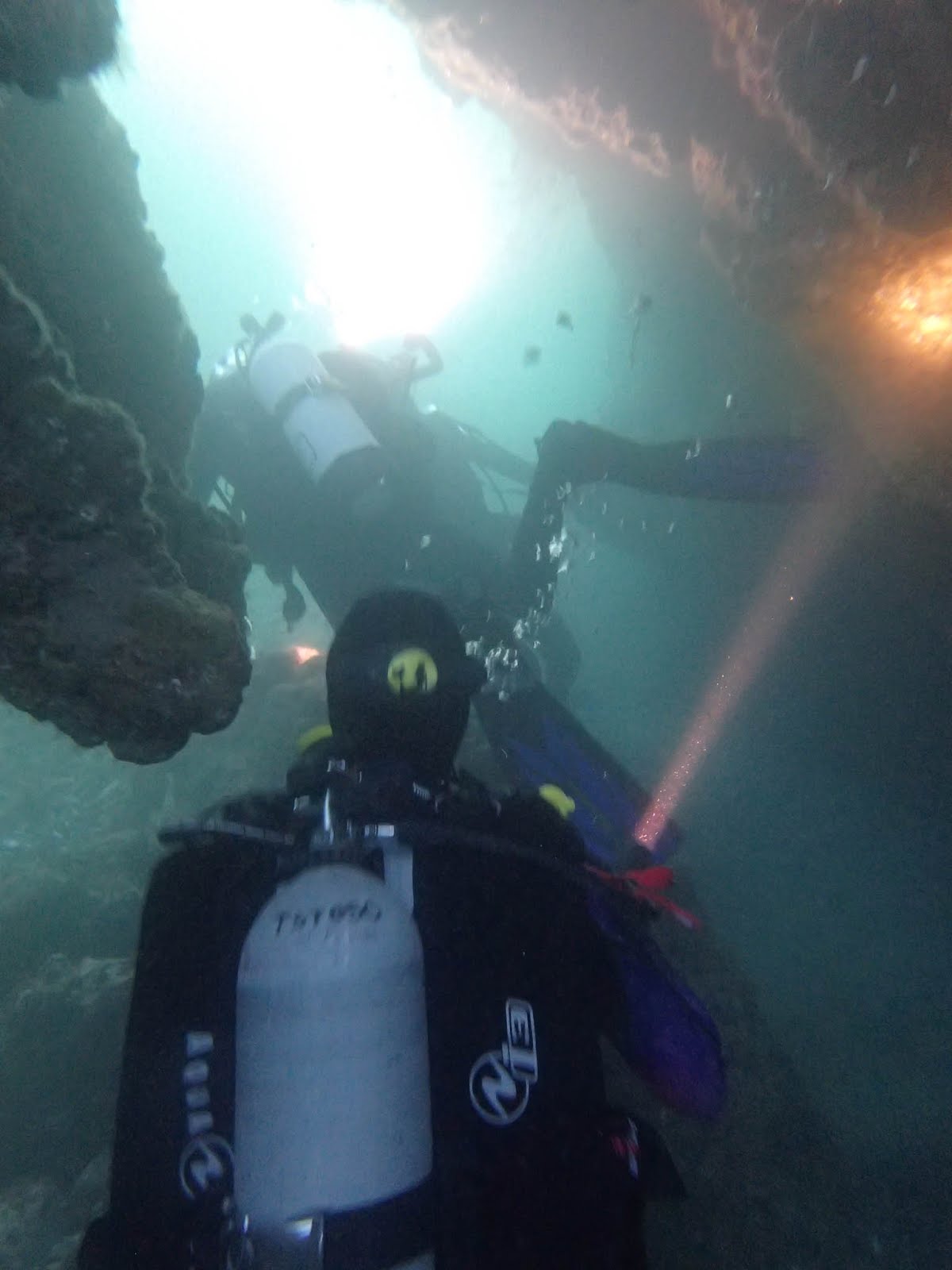 Diving Before Work At Shaw's Cove Laguna Beach - First Church of The Masochist