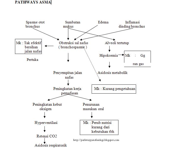Pathway Asma - Pathway Patofisiologi