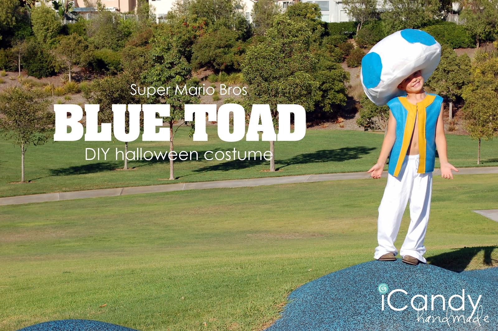 SeeMeSew Halloween Costumes For Boys seemesew-halloween-costumes-for-boys