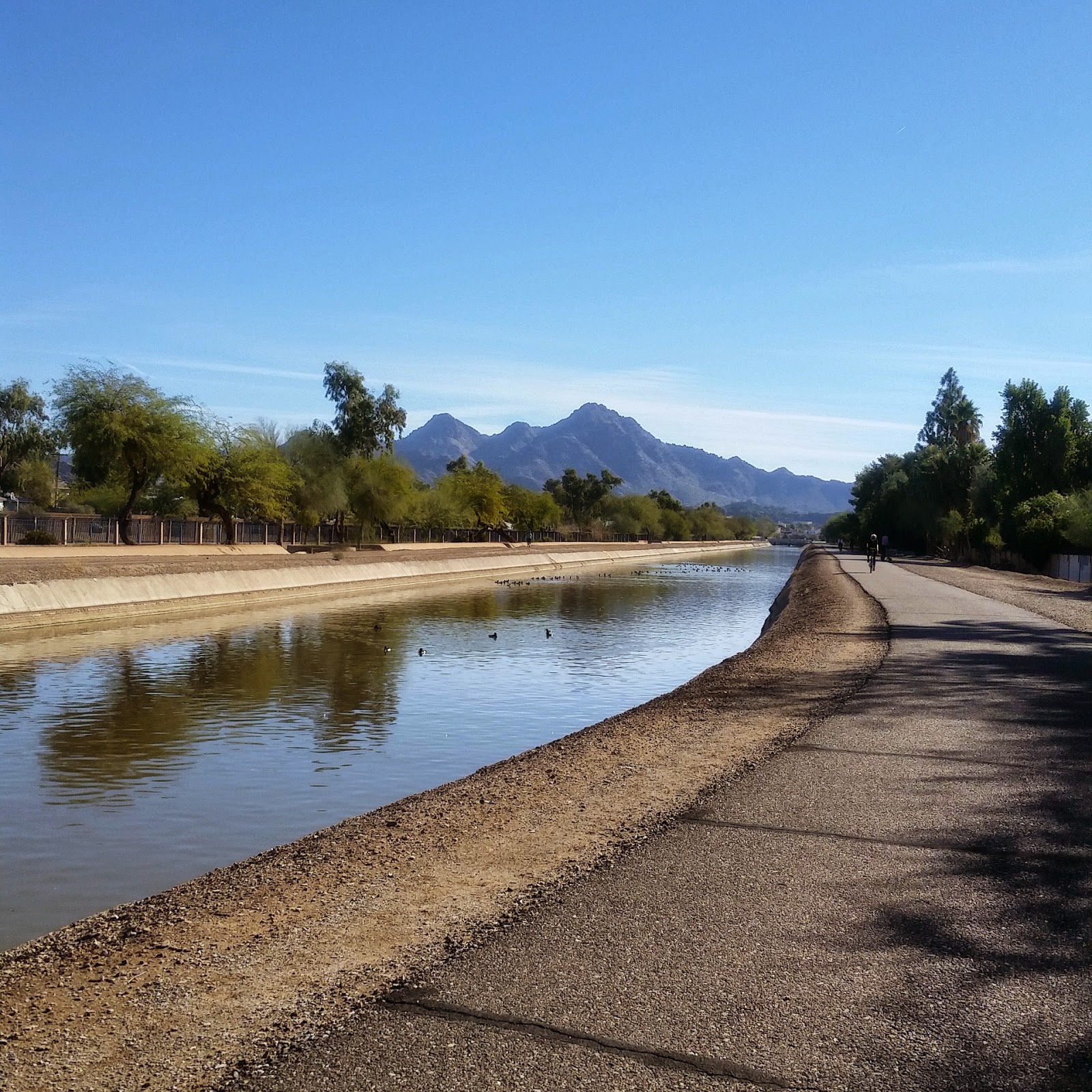 Free Things To Do In The Phoenix Area Floradise free-things-to-do-in-the-phoenix-area-floradise