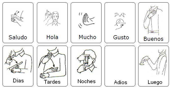 discapacidad y retos múltiples: Vocabulario en Lengua de Señas Mexicana ...