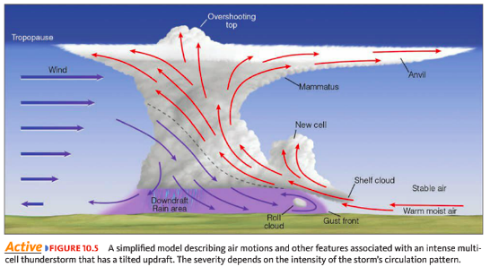 What's the Weather, Heather? : Thunderstorms Part 1