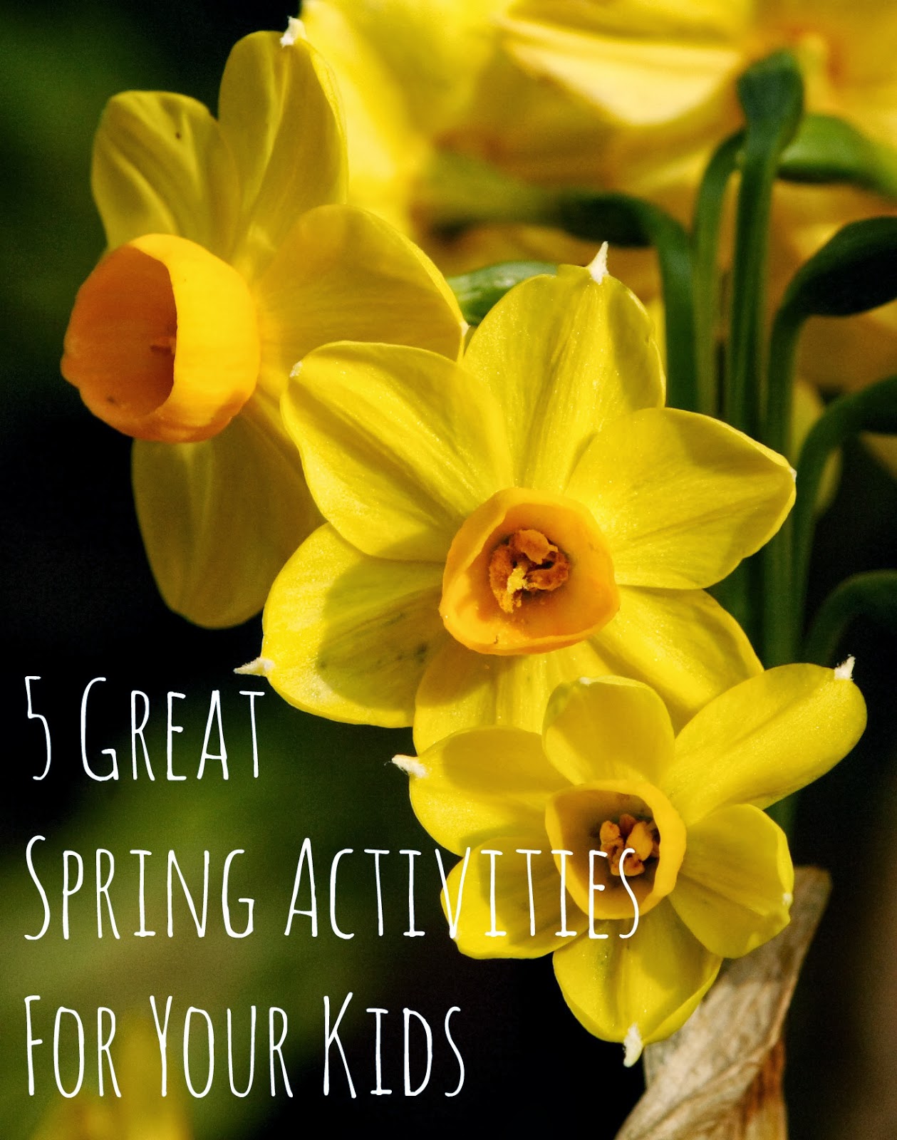 5 Great Spring Activities For Your Kids Red Rose Mummy 5-great-spring-activities-for-your-kids-red-rose-mummy