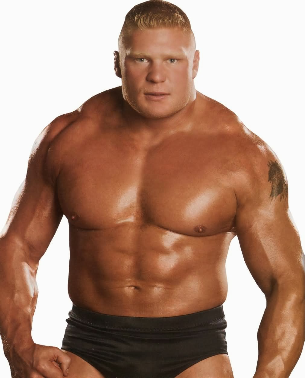 Brock Lesnar Hd Wallpapers Free Download | WWE HD WALLPAPER FREE DOWNLOAD