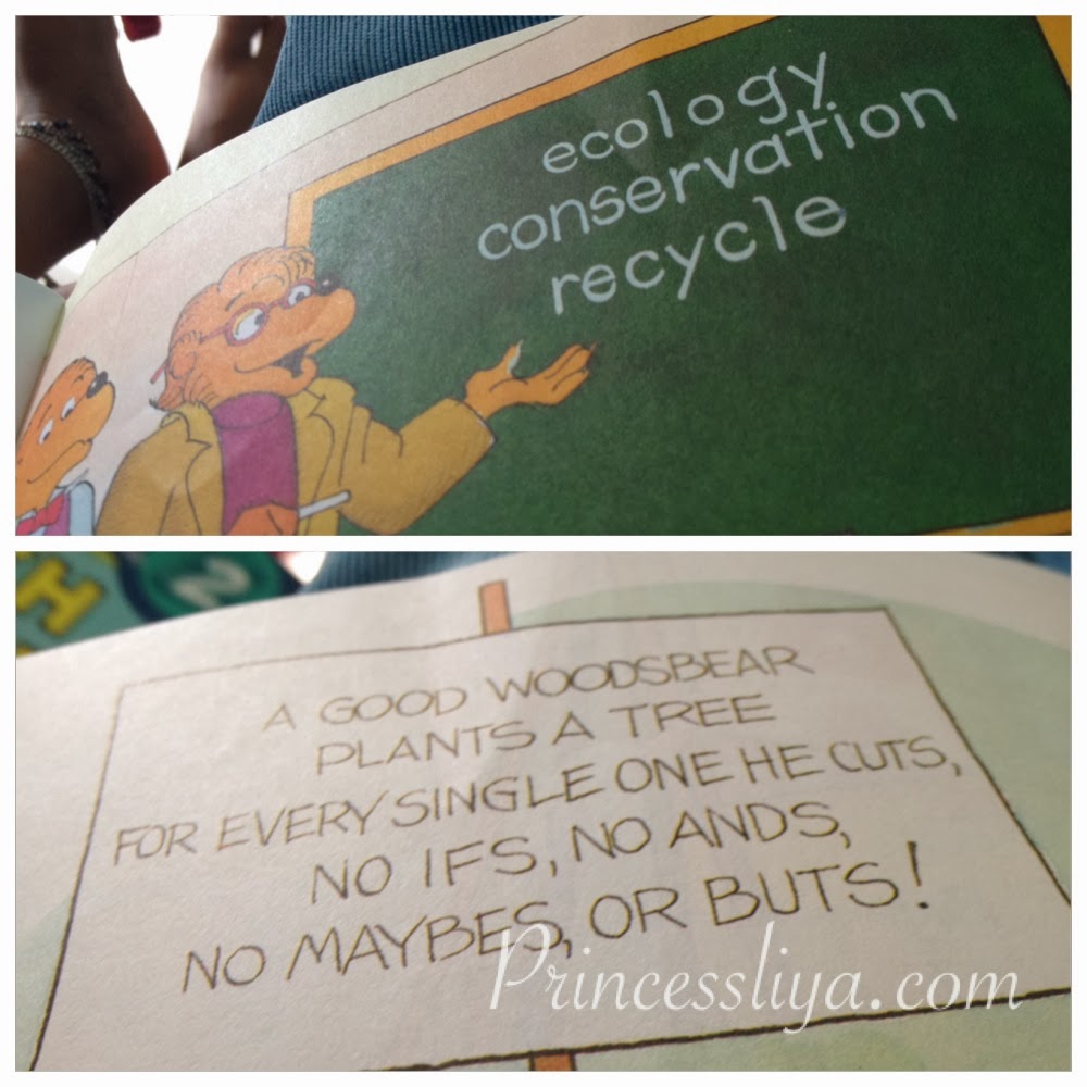 Life with Liya and Zain: Books We Read : The Berenstain Bears Don't ...