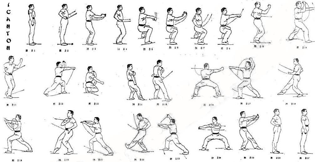 C.D Wushu-Kungfu Nan quan Serpiente de Jade: Las formas o Movimientos encadenados