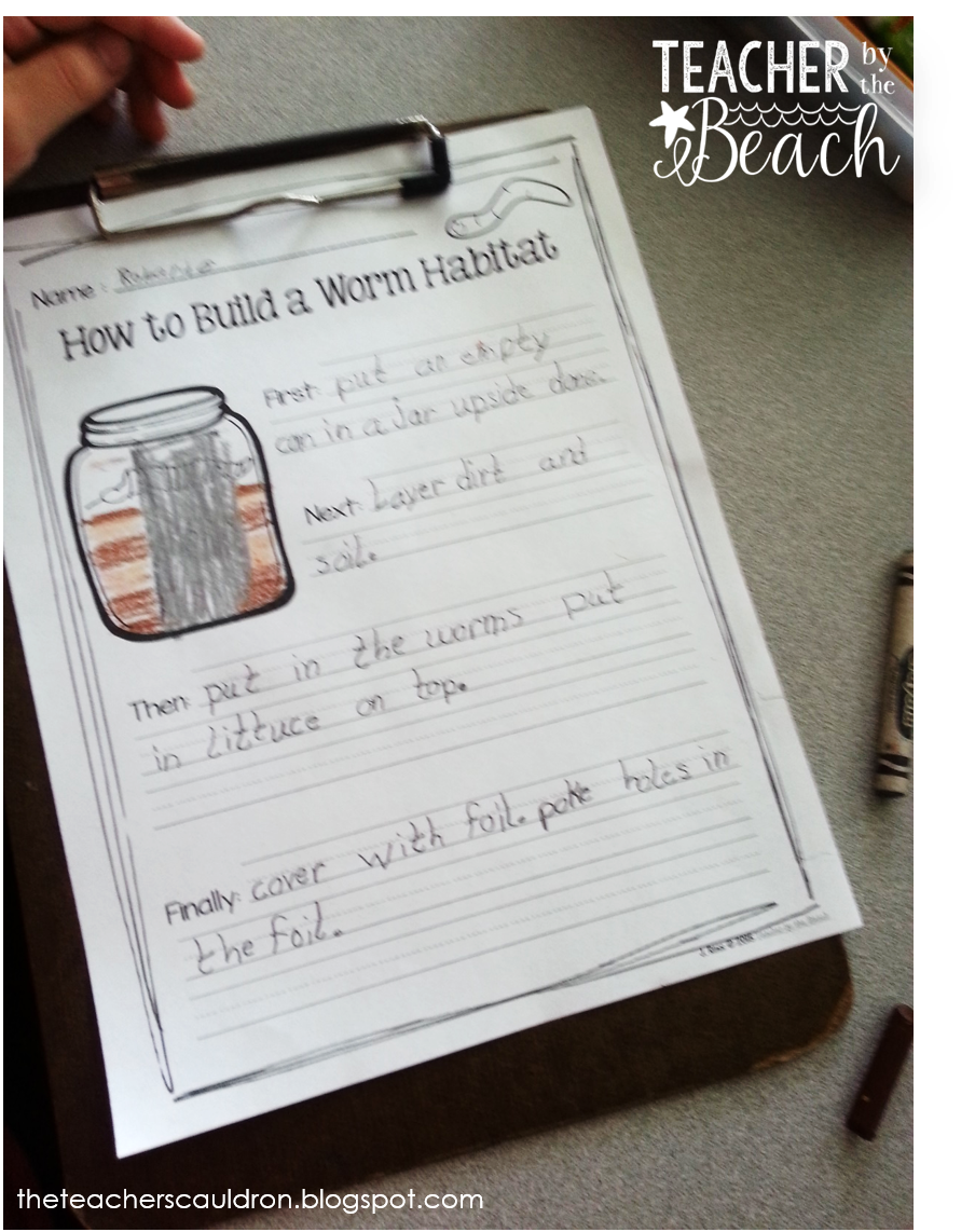 All About Worms! | The Teacher's Cauldron | Bloglovin’