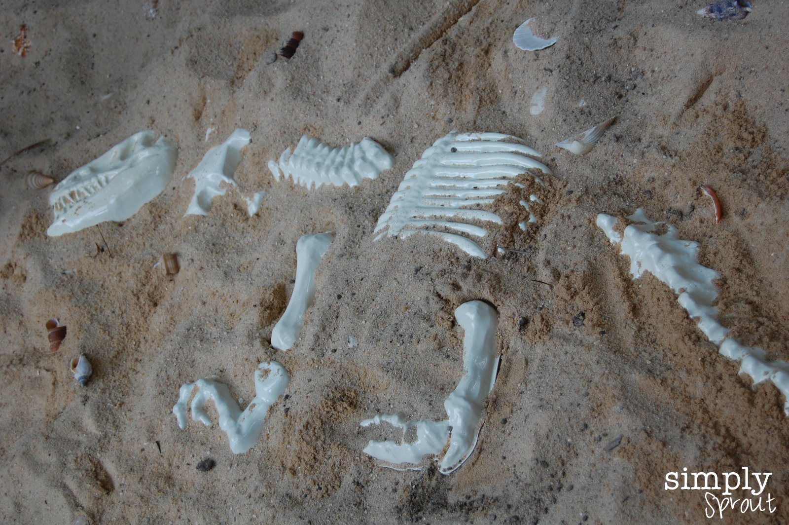 It's an Ice Age Dino Dig - Simply Sprout