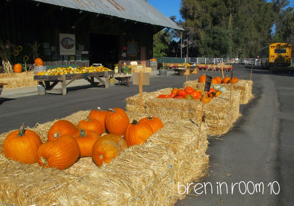 bren in room 10 : Pumpkin Patch/Giants/Freebies