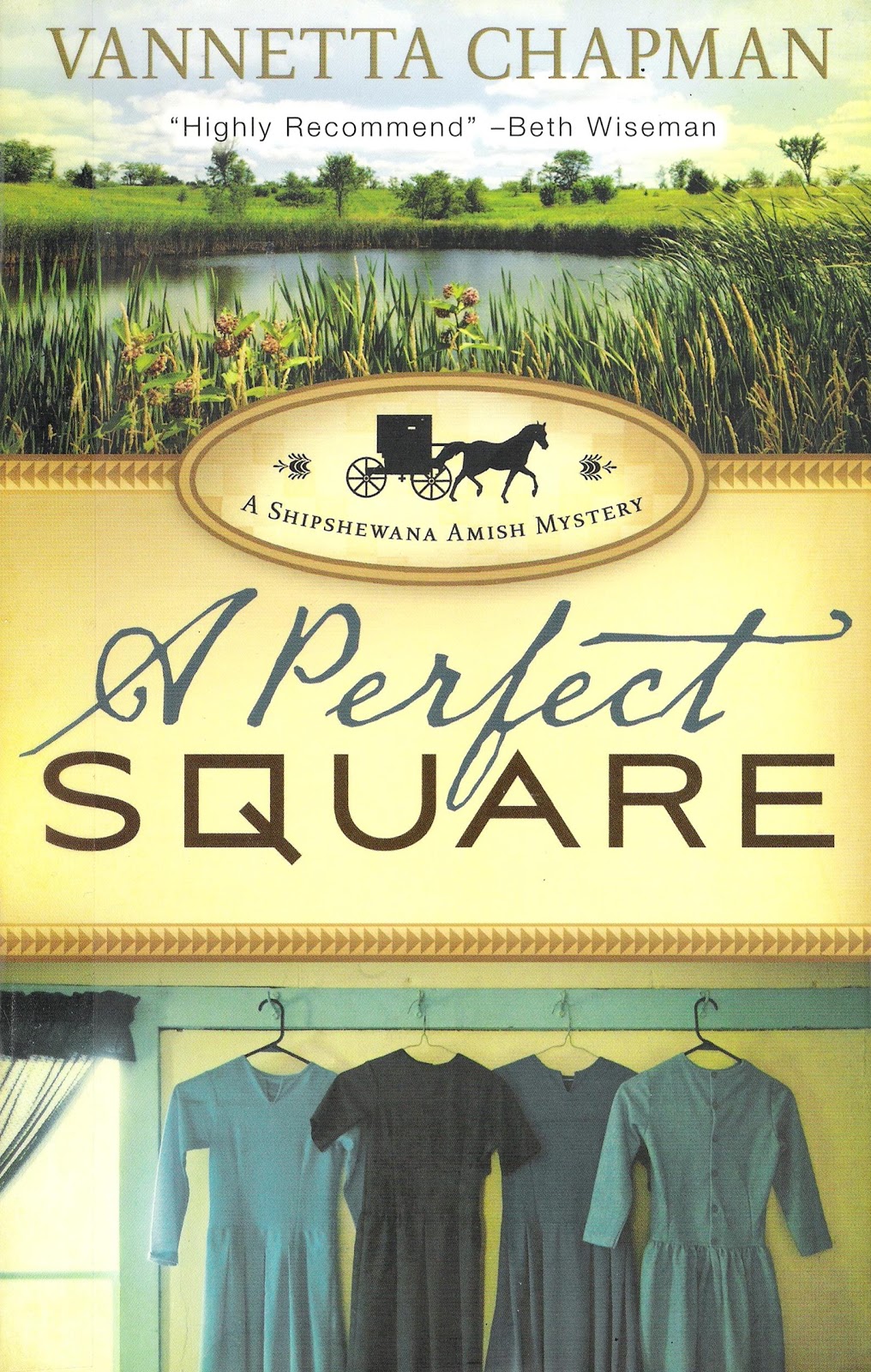 Books To The Rescue A Perfect Square books-to-the-rescue-a-perfect-square