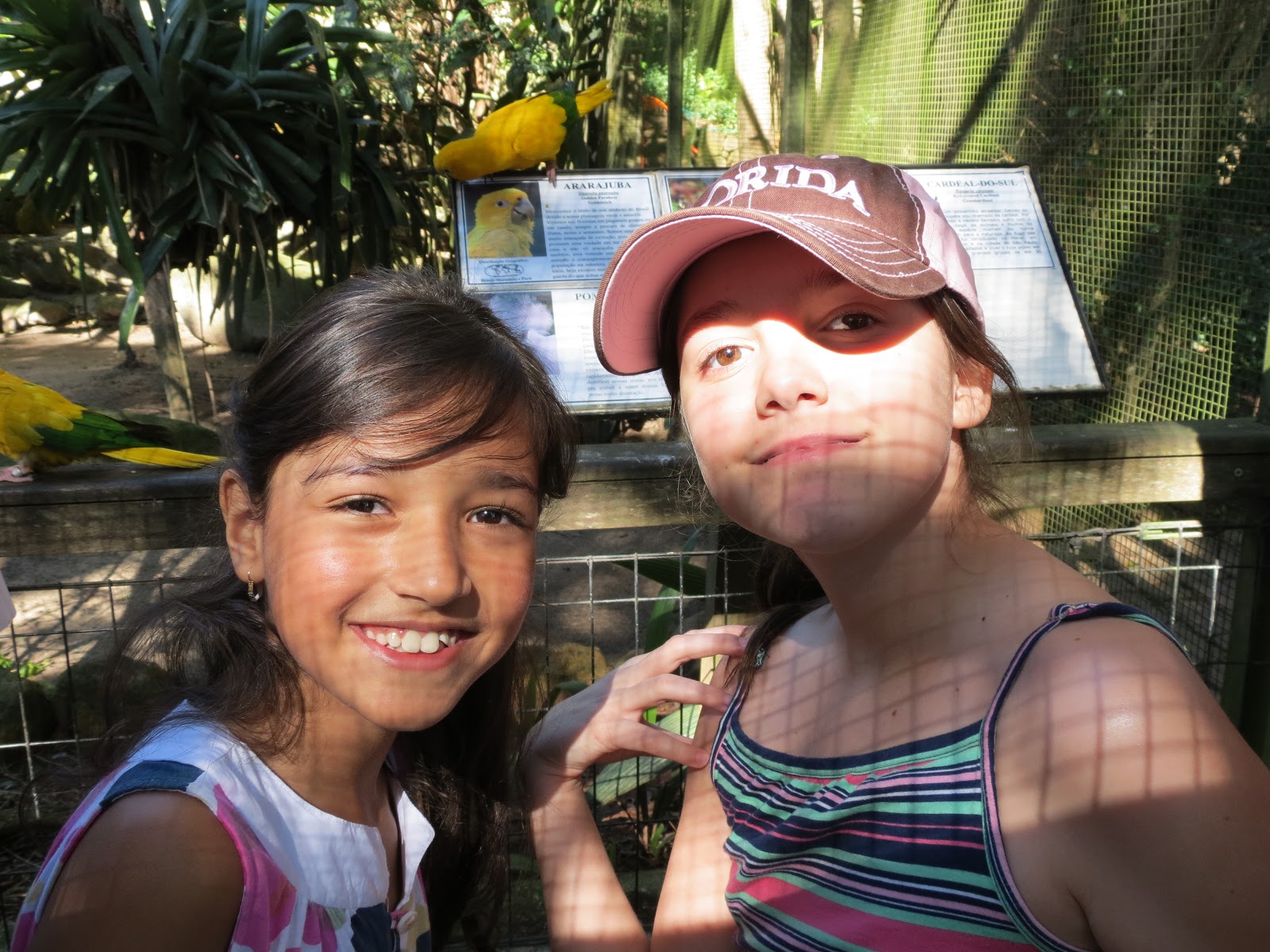 Zoo Parque Itatiba - Blog Dri Viaro - Família, viagens, gastronomia e ... Zoo Parque Itatiba - Blog Dri Viaro - Família, viagens, gastronomia e ...