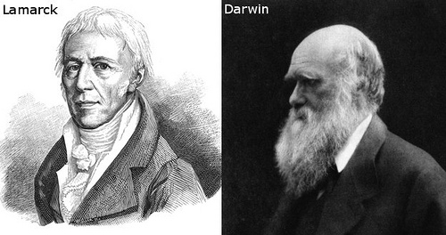 The Beauty of Science – Scientific Scribbles