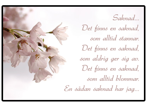 Till minne av Christian: Saknad...