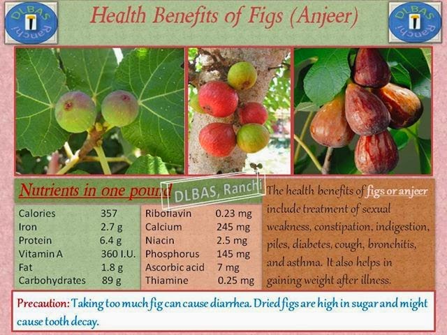 Acupressure & Natural Therapy: Health Benefits of Fig (Anjeer)