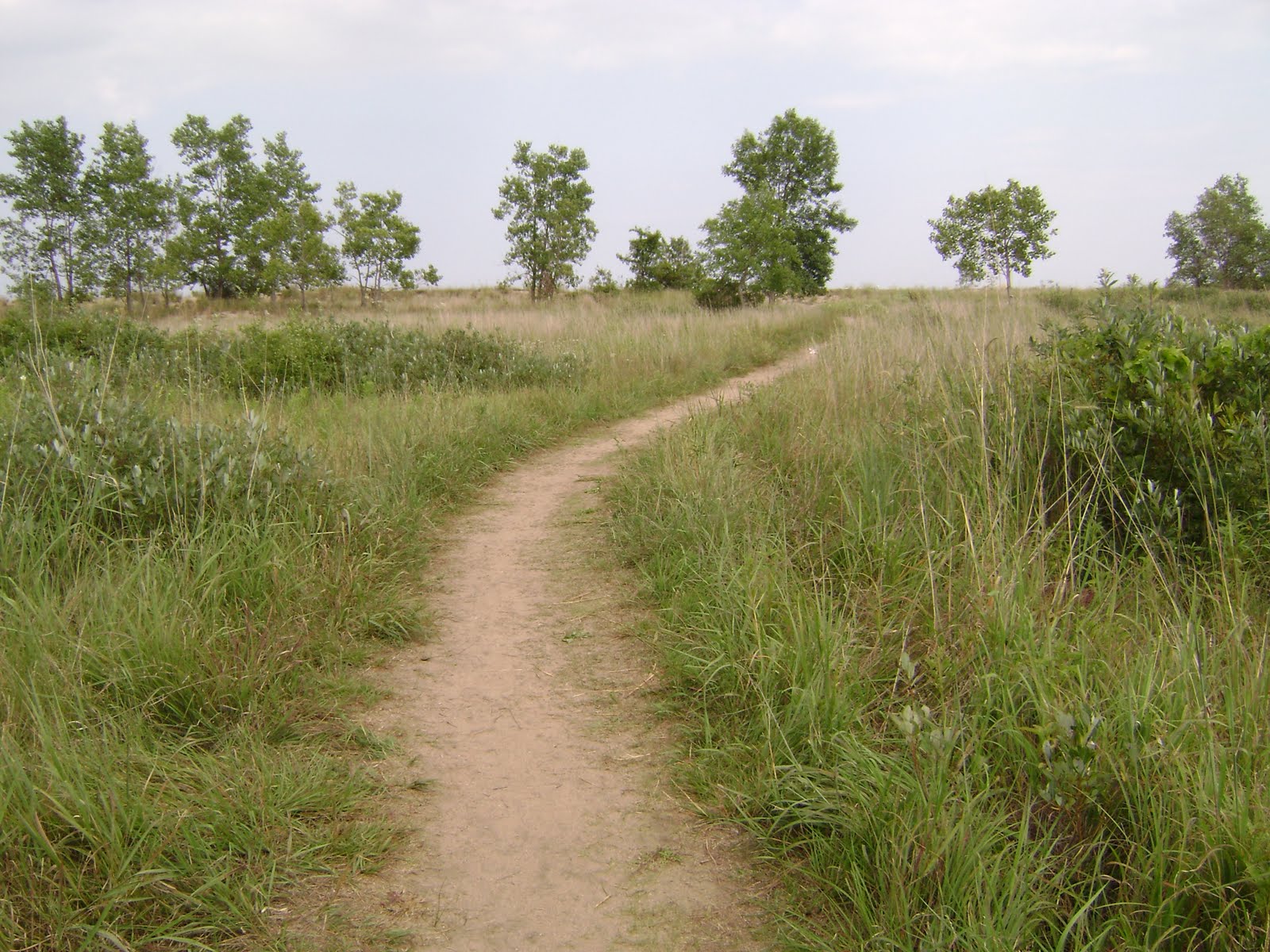 My Green Pasture: This Worn Path