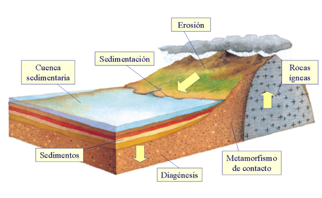 MÉTODOS DE LA CIENCIA/ TALLER DE CIENCIAS DE 2º ESO DEL IES MIGUEL ...