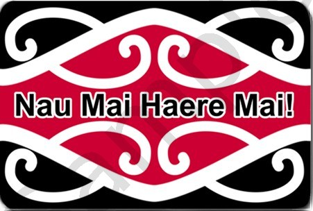 Eco Thrifty Renovation: Nau Mai Haere Mai!