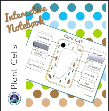 The Best of Teacher Entrepreneurs: FREE SCIENCE LESSON - “FREEBIE ...