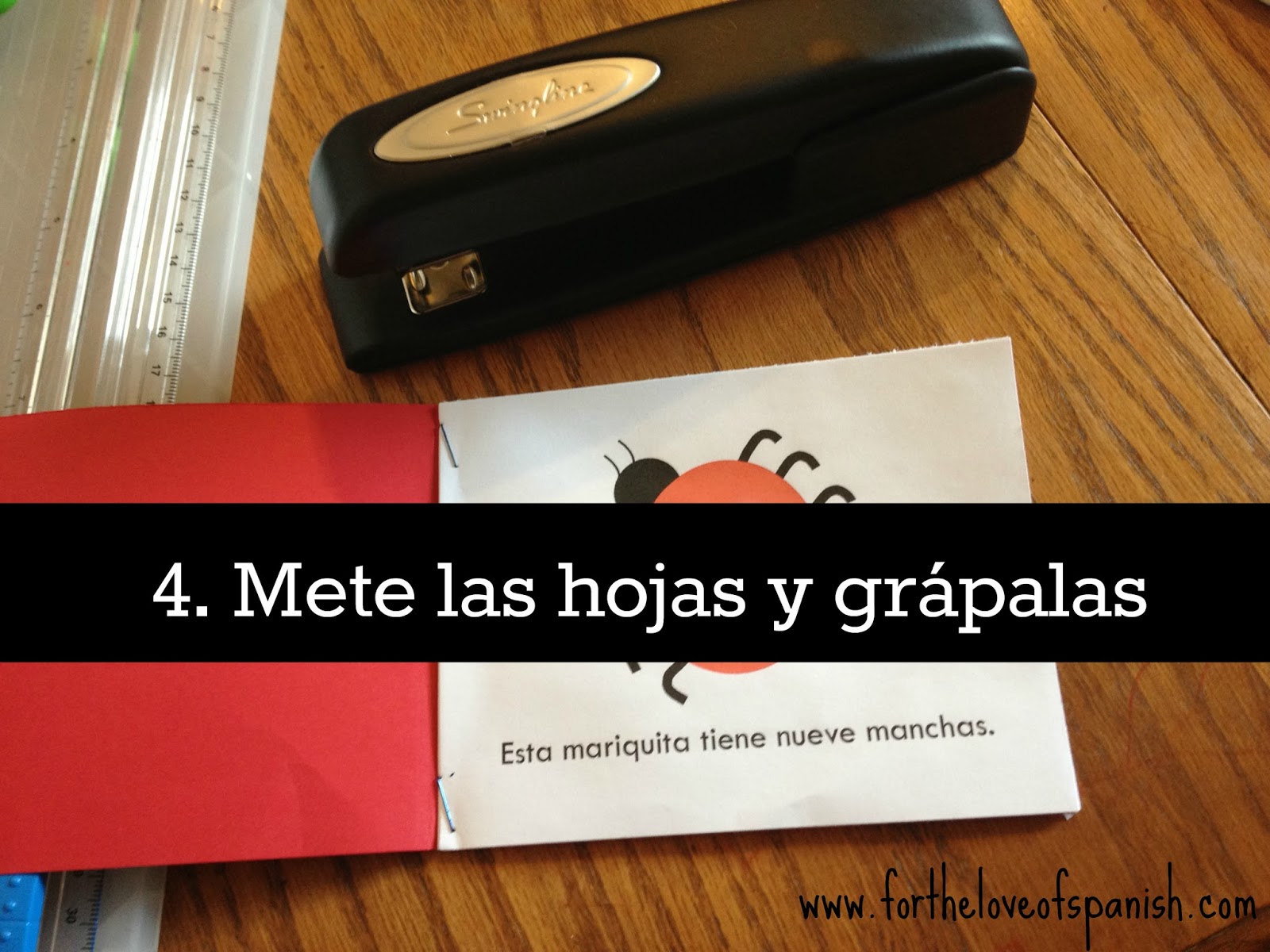 Learn Spanish with Ladybugs // The Ladybugs and Their Spots {FREE ...